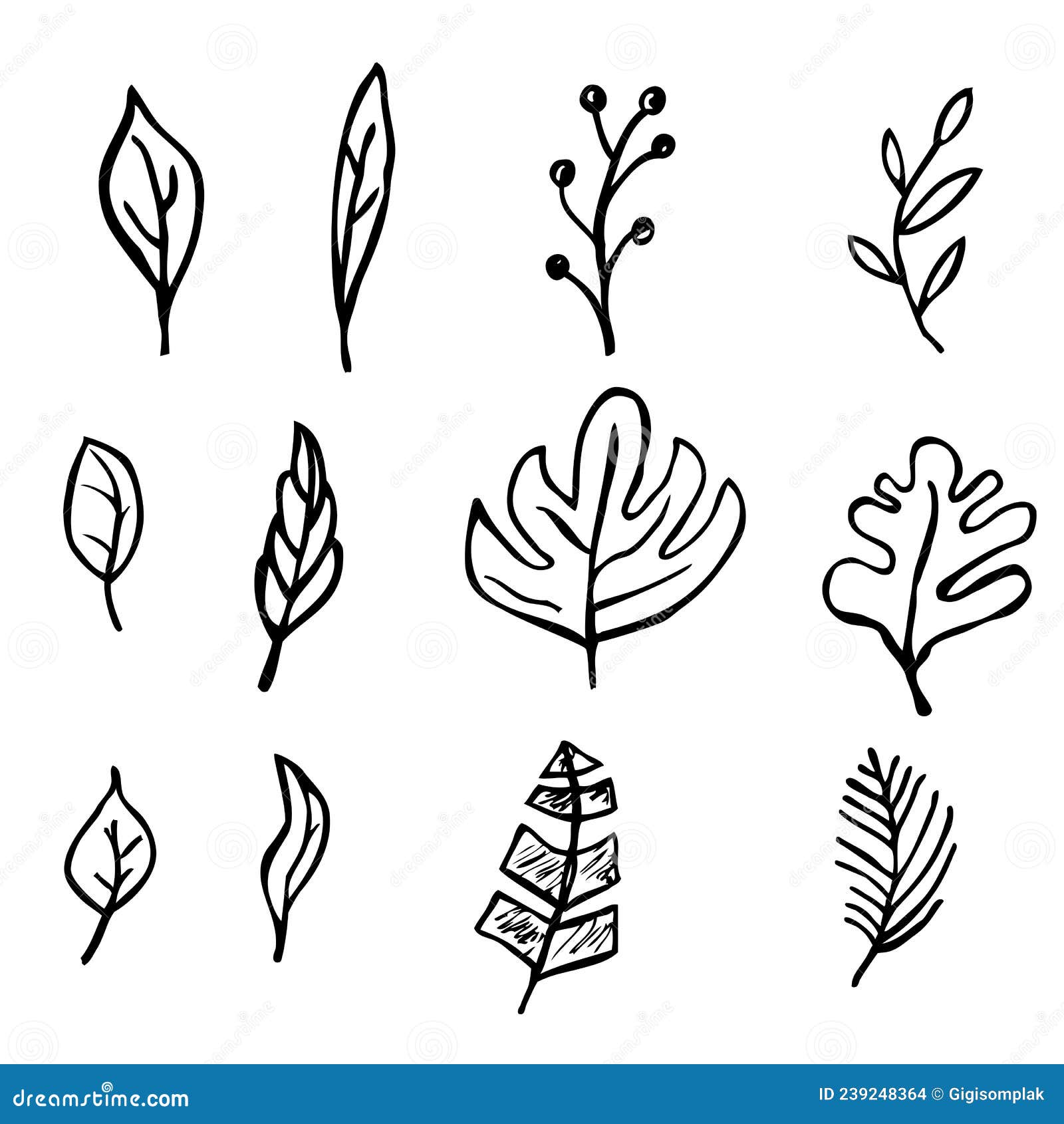 Simple Vector Set 12 Leaves Stock Vector - Illustration of hand ...