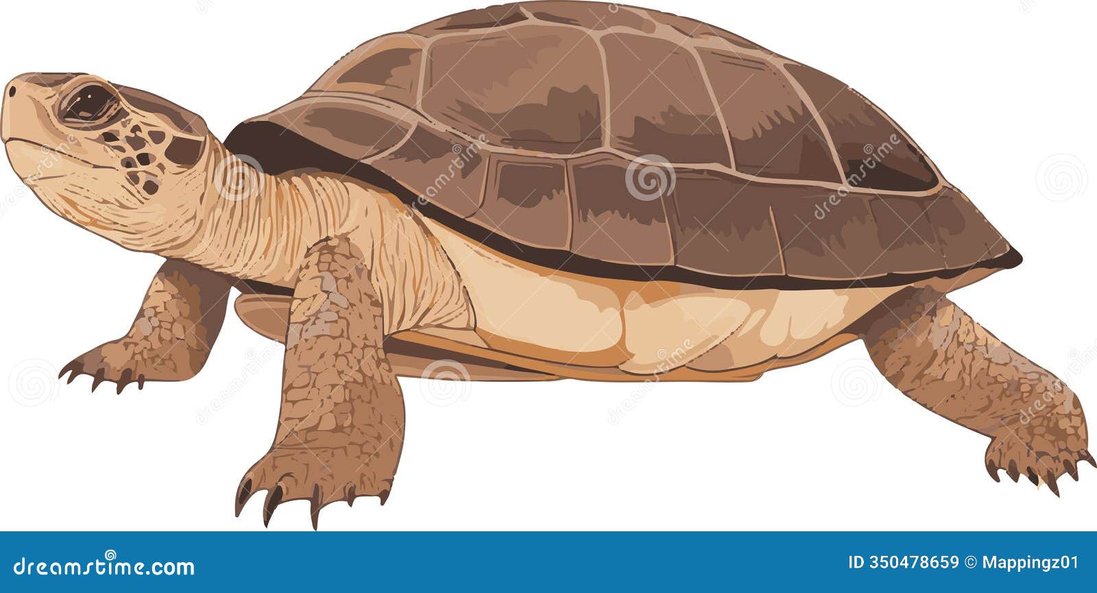 Snapping Turtle Outline Silhouette Generative Ai Vector Illustration ...