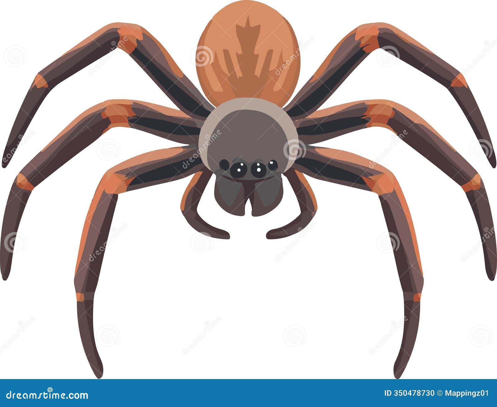Simple Vector Spider Clipart Stock Vector - Illustration of colorful ...