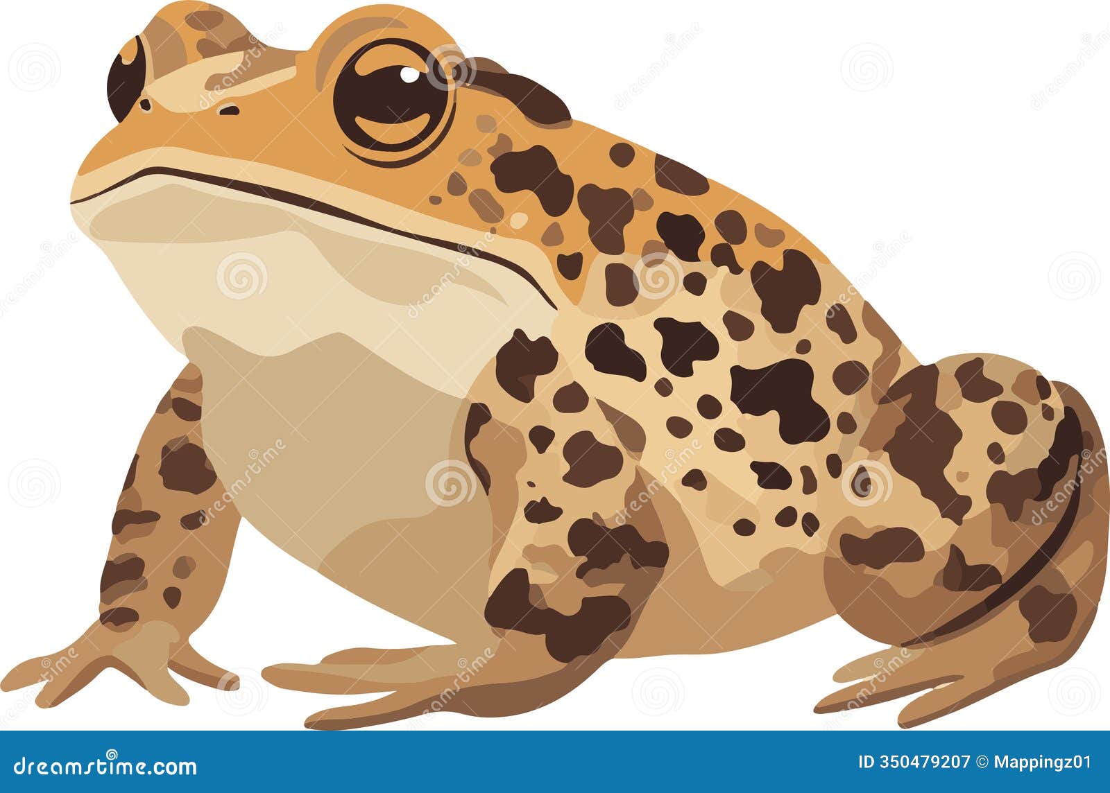 Simple Toad Clip Art With White Margins And Easy Cropping Royalty-Free ...