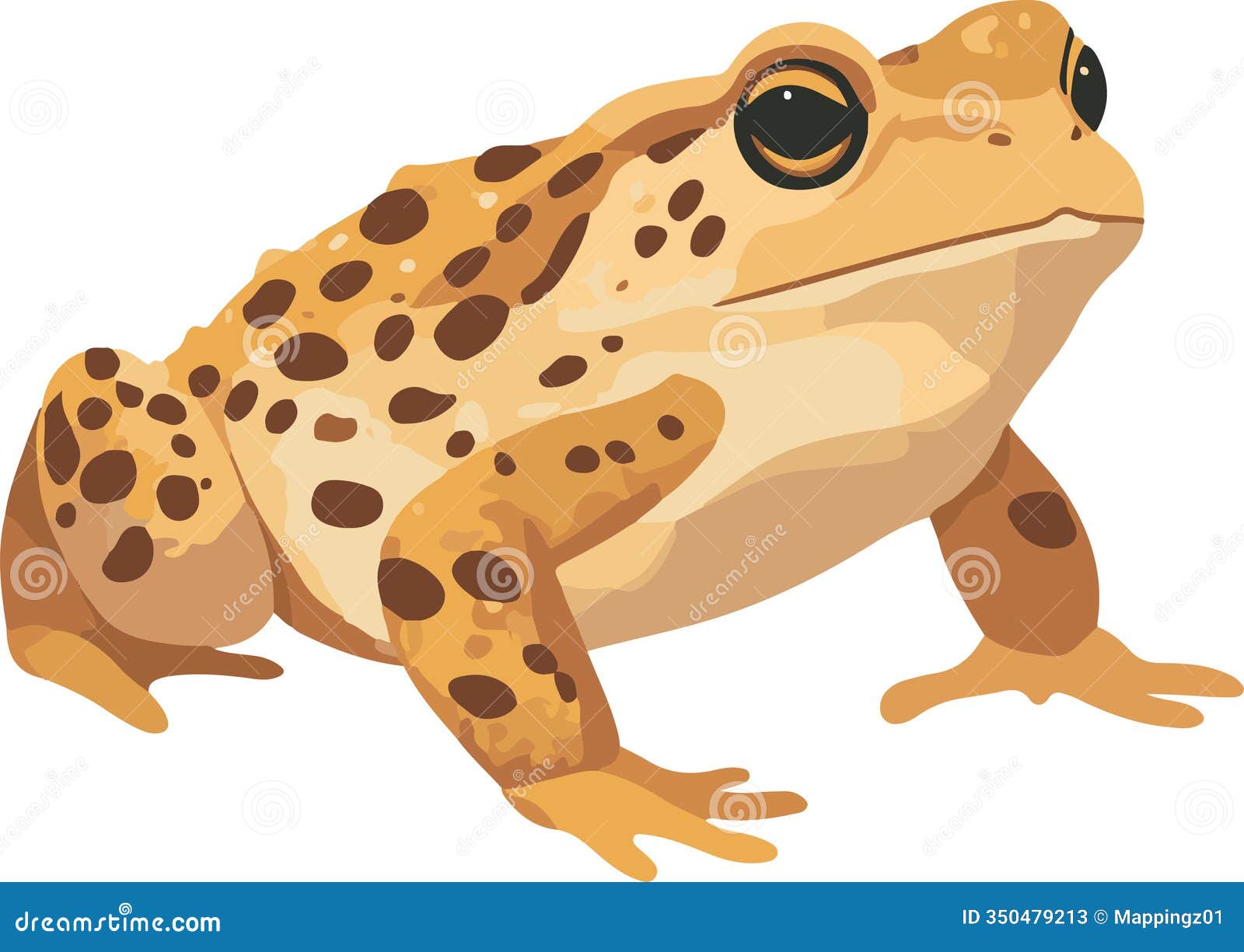 Simple vector toad clipart stock vector. Illustration of transparent ...