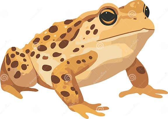 Simple vector toad clipart stock vector. Illustration of transparent ...
