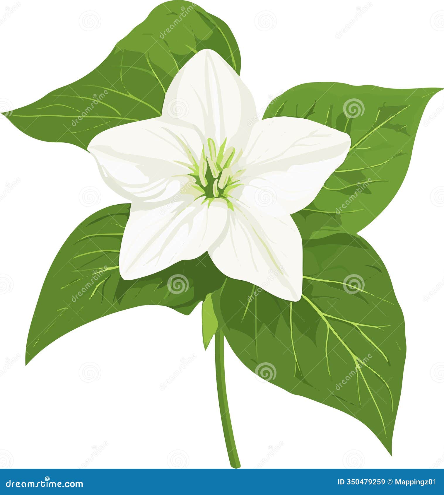 Simple Vector Trillium Clipart Stock Vector - Illustration of cute ...