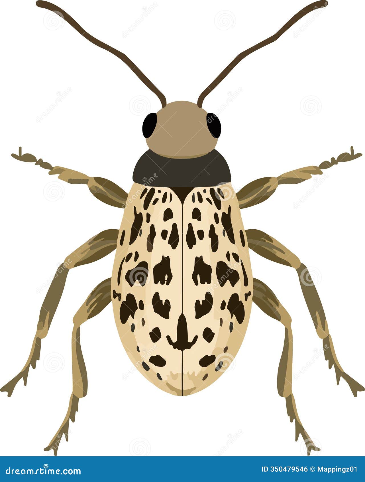 Simple Vector Weevil Clipart Stock Vector - Illustration of style ...