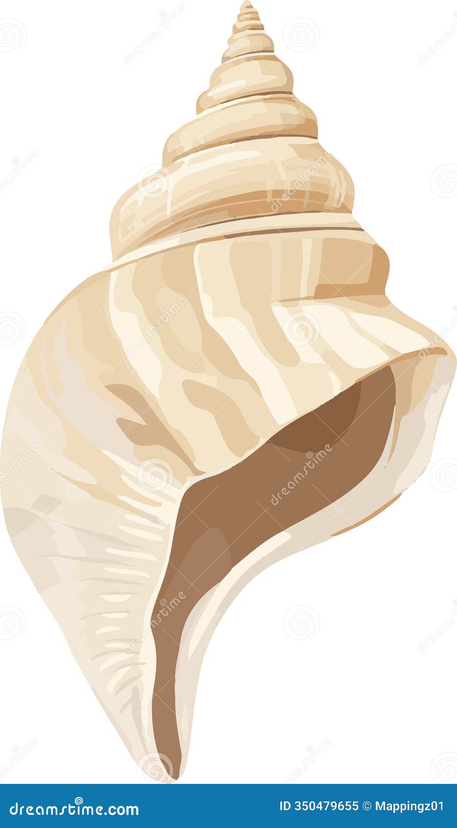 Simple Vector Whelk Clipart Stock Vector - Illustration of printable ...