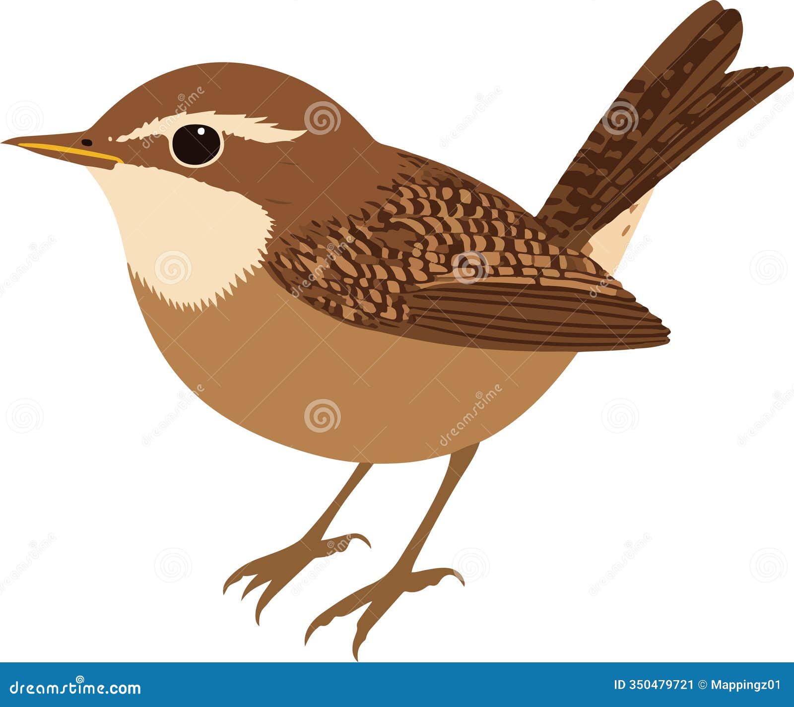 Simple vector wren clipart stock vector. Illustration of basic - 350479721