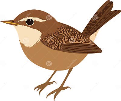 Simple vector wren clipart stock vector. Illustration of basic - 350479721