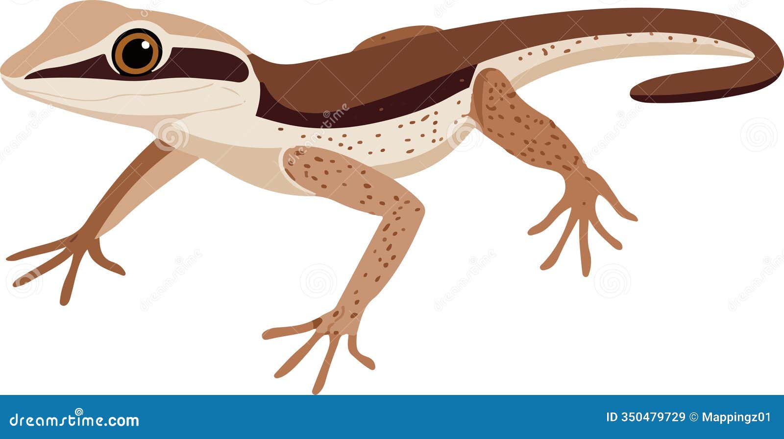 Simple Vector Xenops Clipart Stock Vector - Illustration of graphic ...