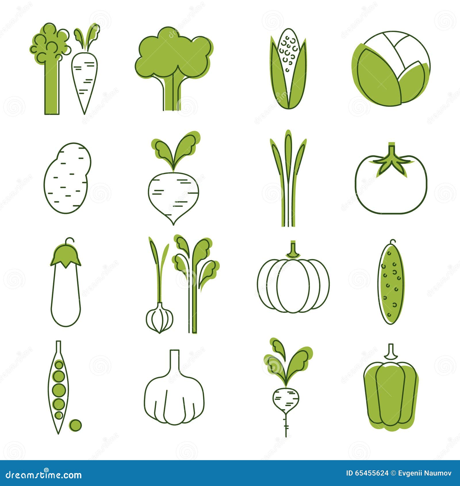 Beat Root Vegetable, Also Known As Beet Vegetable - Vector Illustration ...