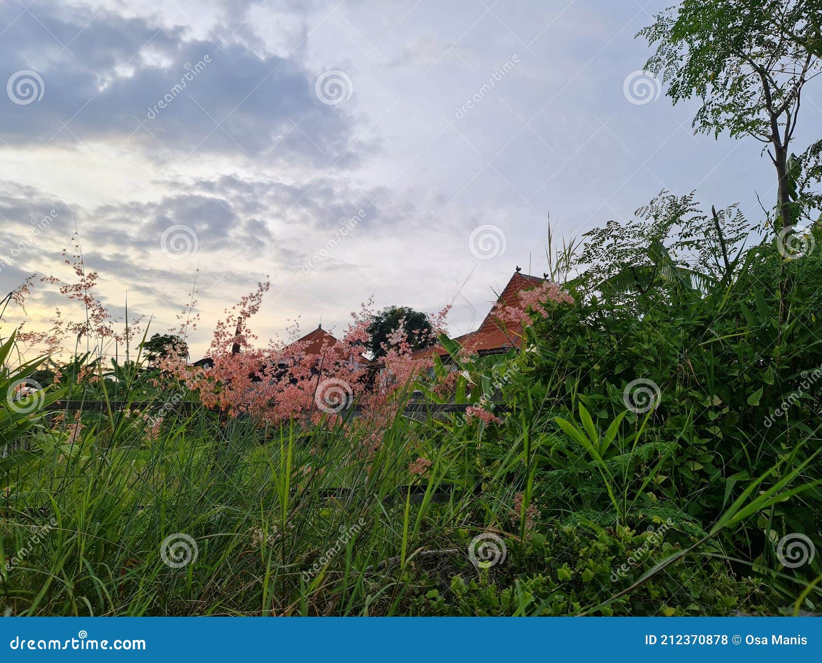 Simple view on garden stock photo. Image of cloud, sunlight - 212370878