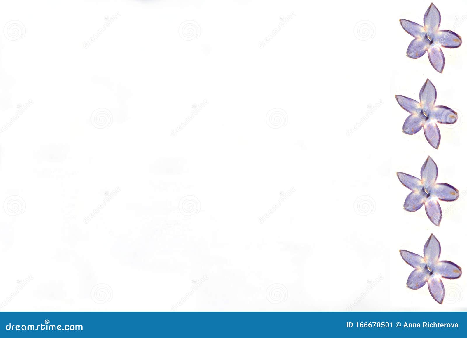 Simple Violet Frame Suitable for Text Input. Stock Illustration ...