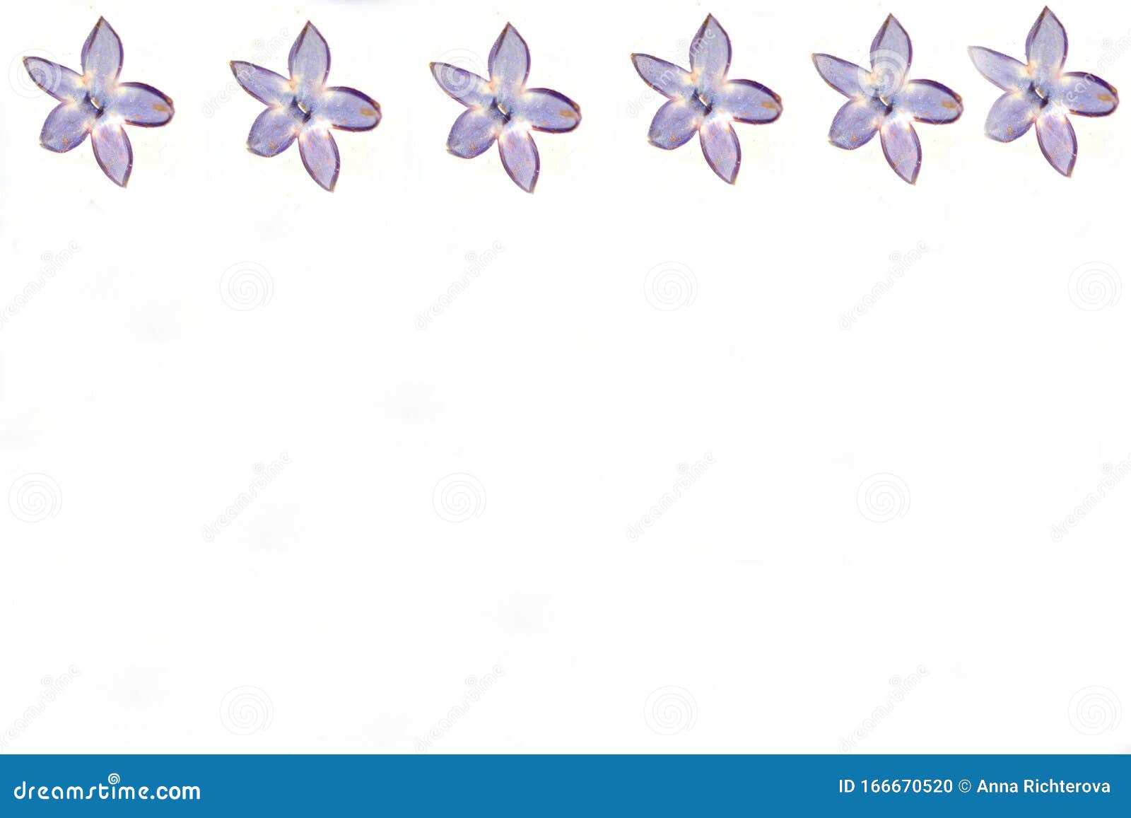 Simple Violet Frame Suitable for Text Input. Stock Illustration ...