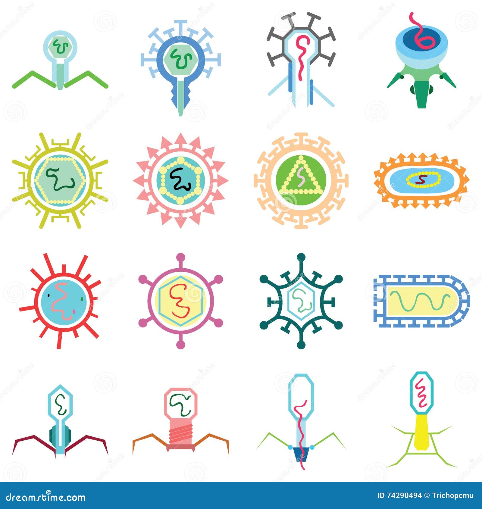 Simple Virus Diagram Cartoon Vector | CartoonDealer.com #65113047