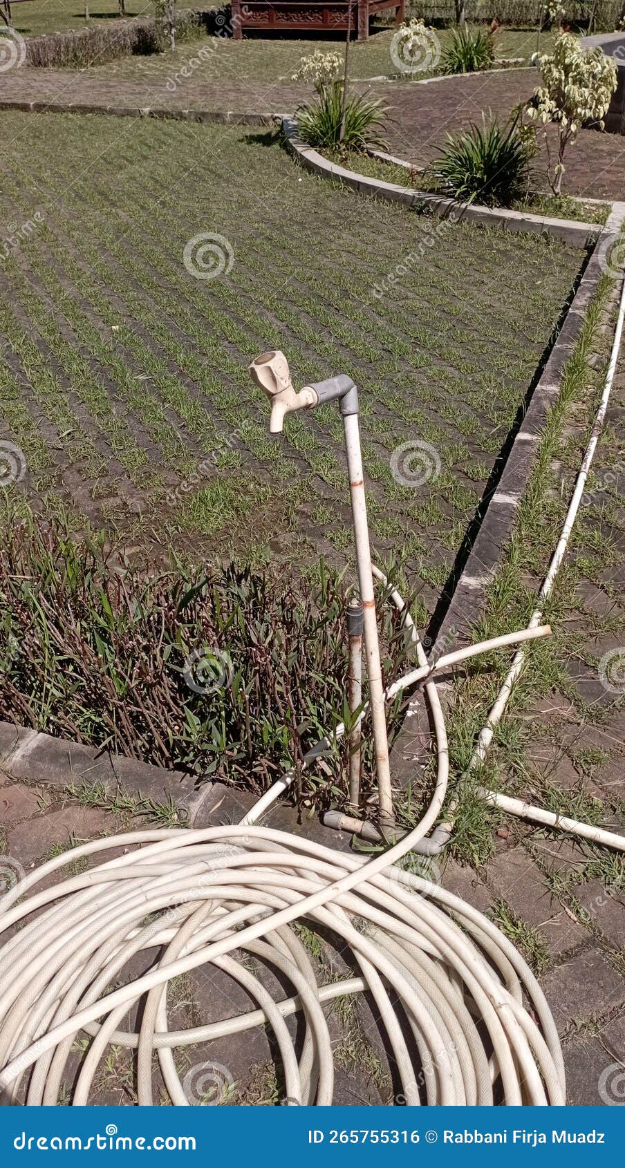 Simple Water Tap with a Hose Underneath Stock Photo - Image of hose ...