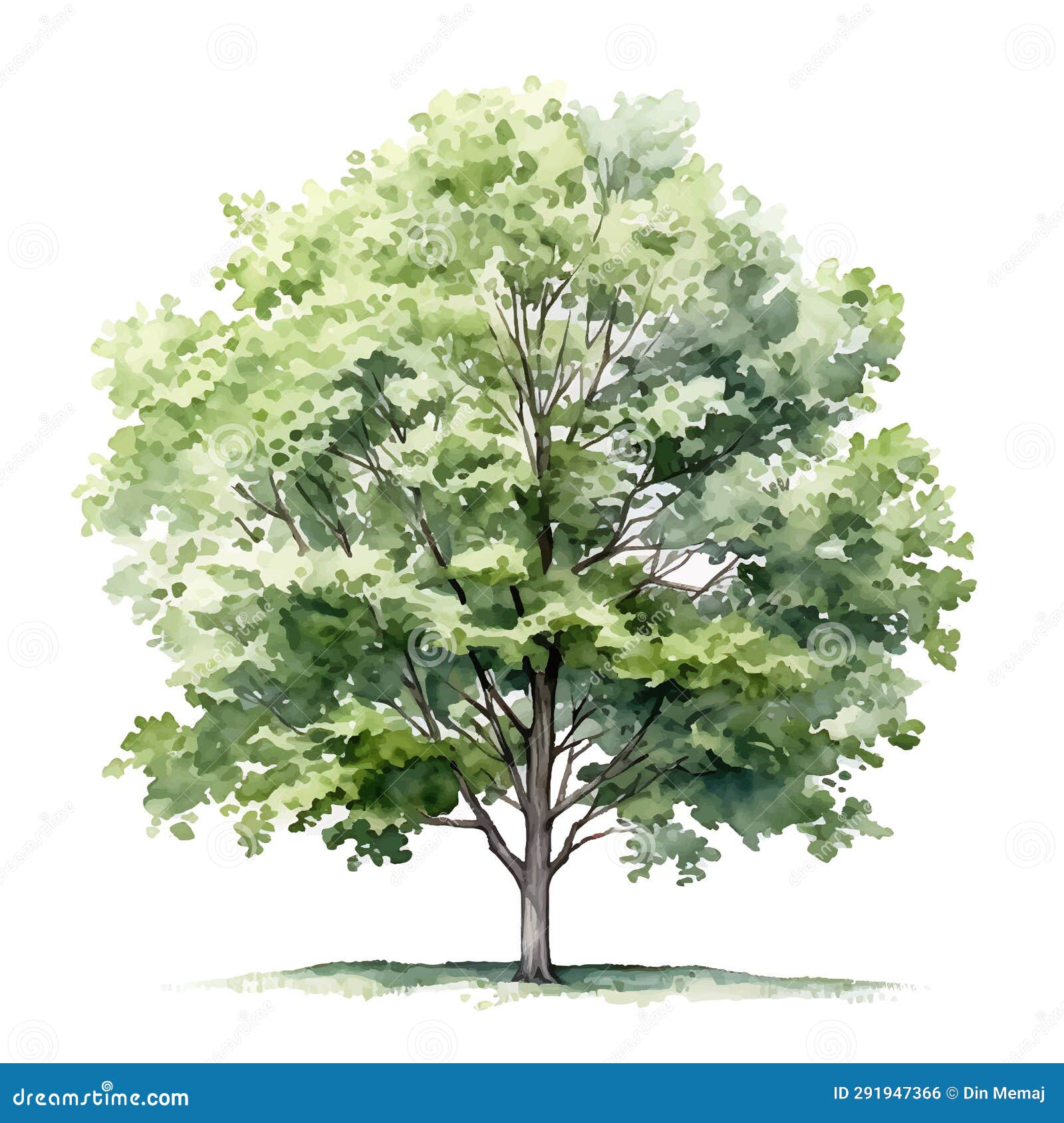 Simple watercolor tree stock vector. Illustration of shrub - 291947366