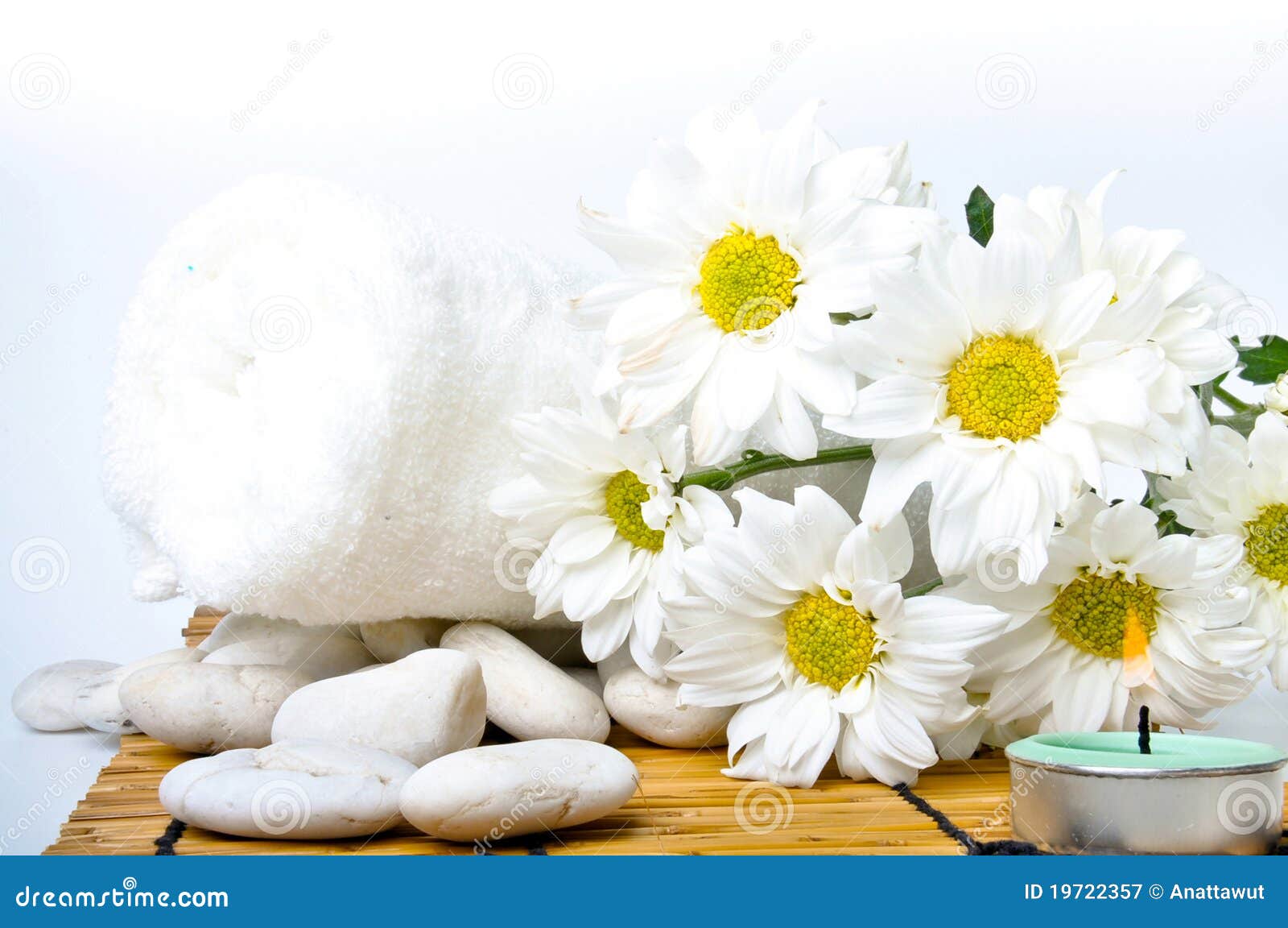 Simplistic Daisy Background Stock Photos - Free & Royalty-Free Stock ...