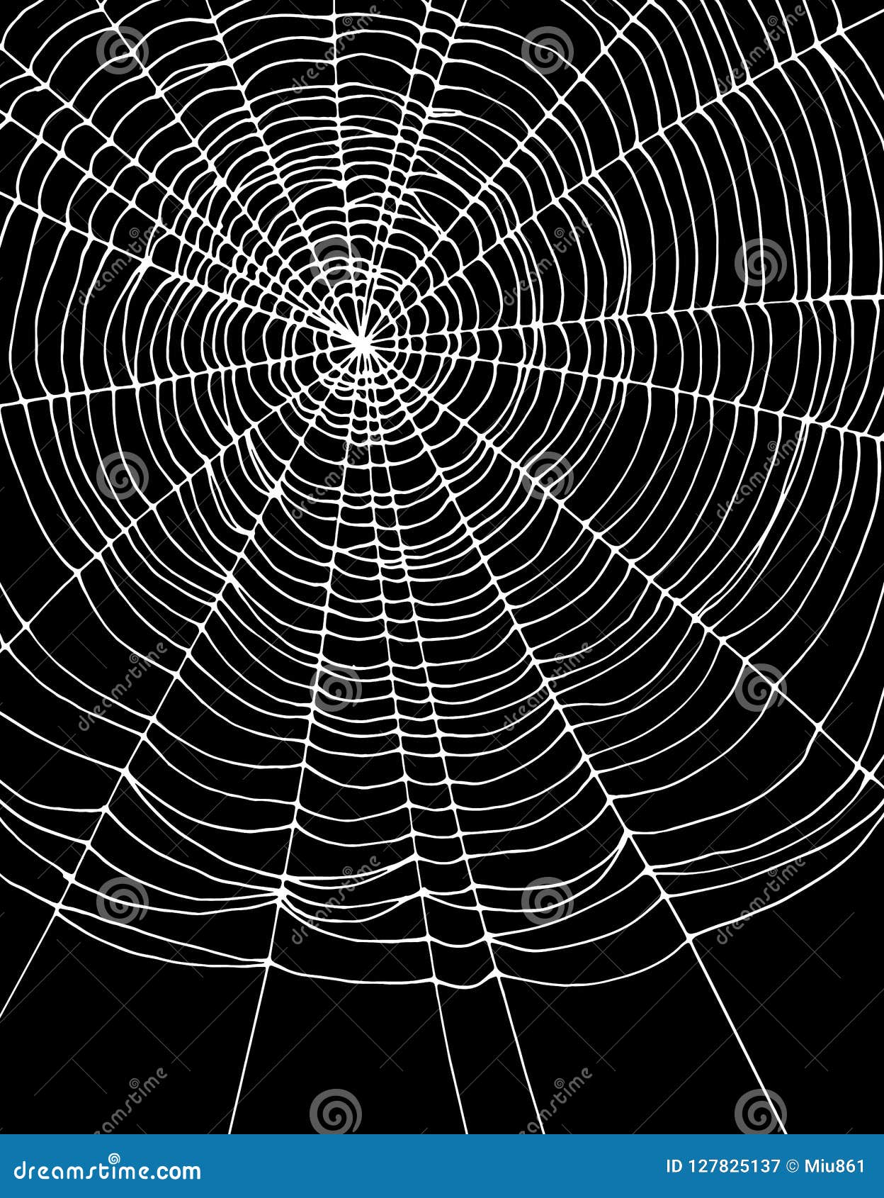 Simple White Spider Web Vector Illustration. Black and White Design ...