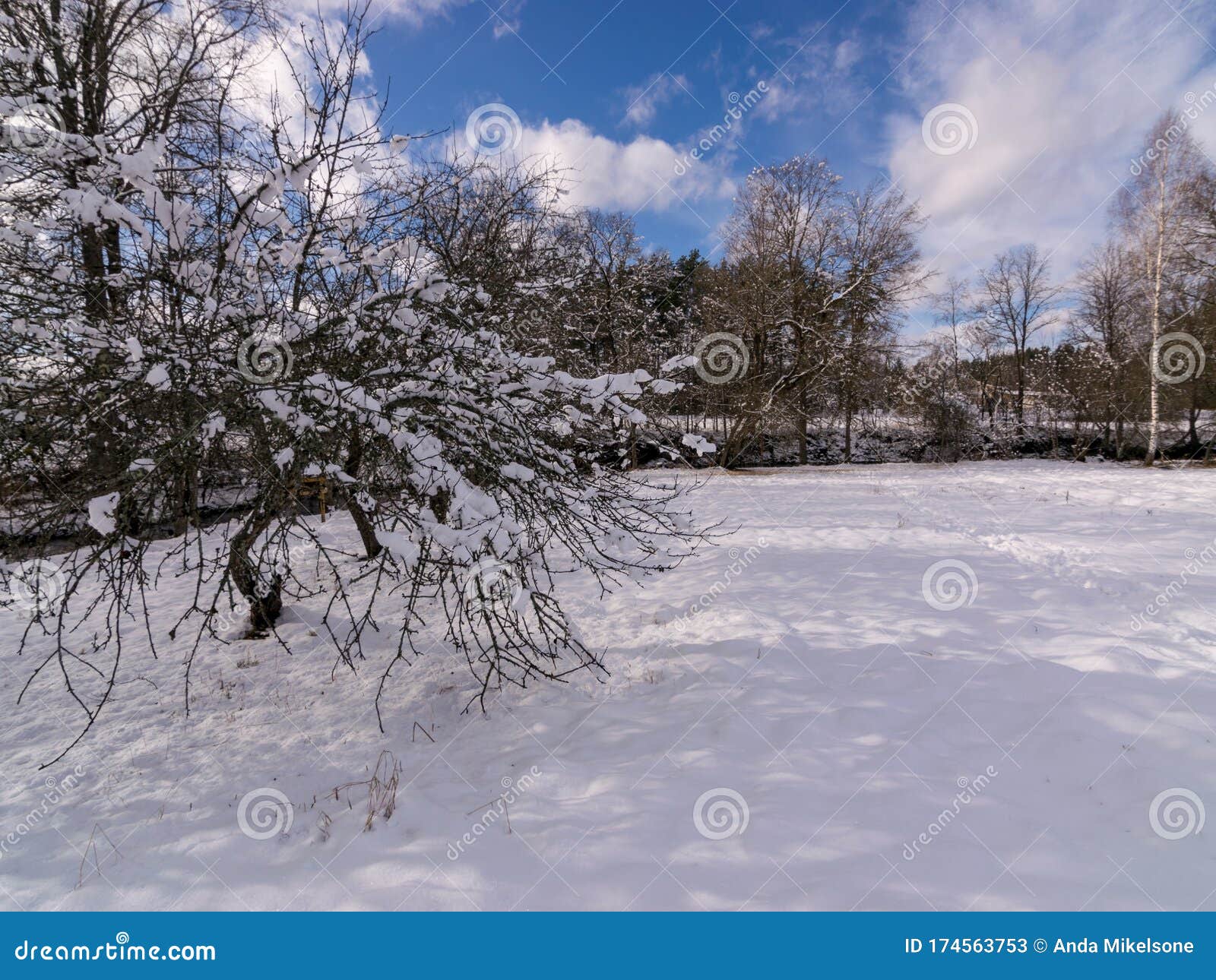 Simple winter landscape stock image. Image of frost - 174563753