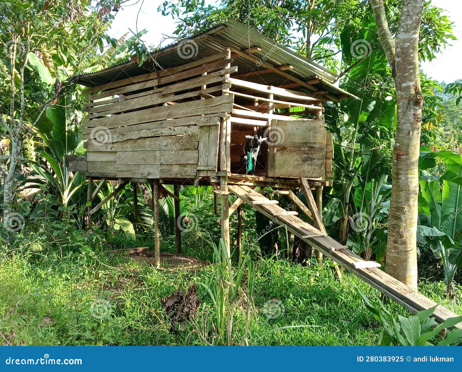 A simple, wobbly goat pen stock image. Image of building - 280383925