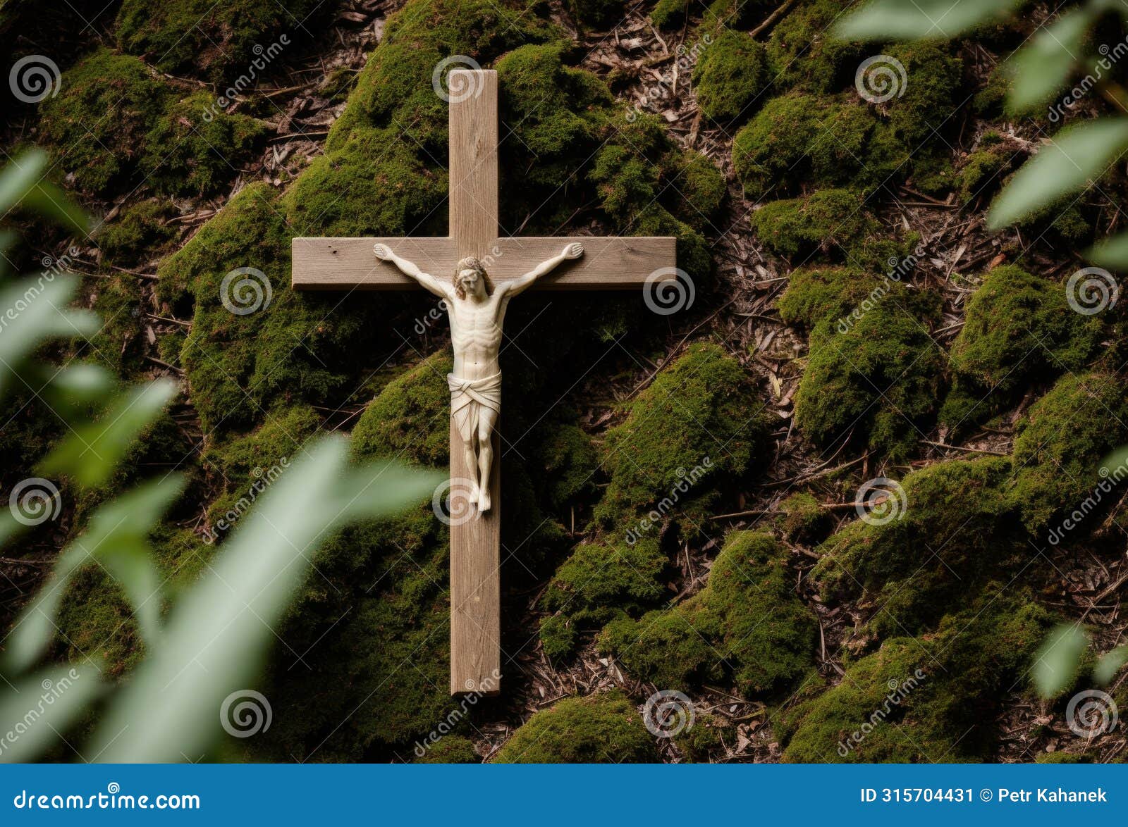Simple Wooden Holy Cross in a Forest Setting, Surrounded by Trees and ...