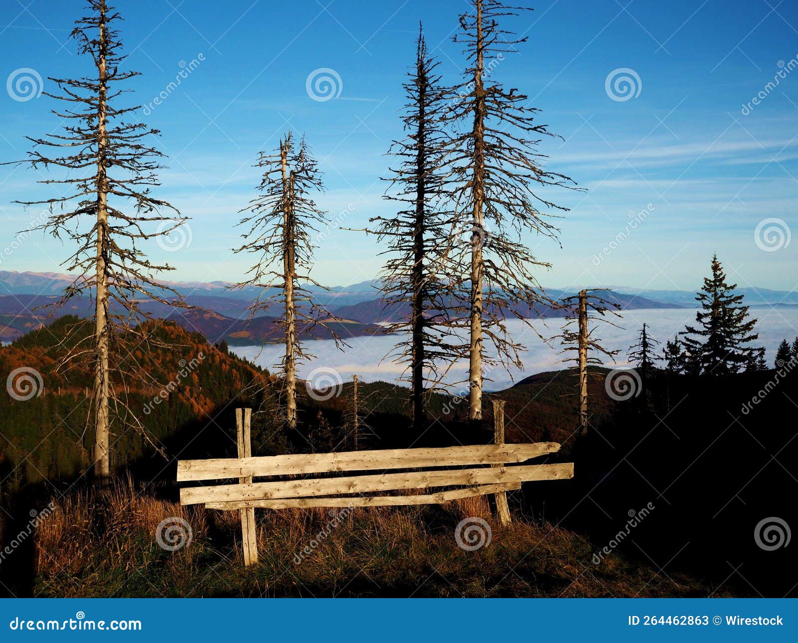 Simple Wooden Structure before the Scenic View with Trees and Slopes on ...
