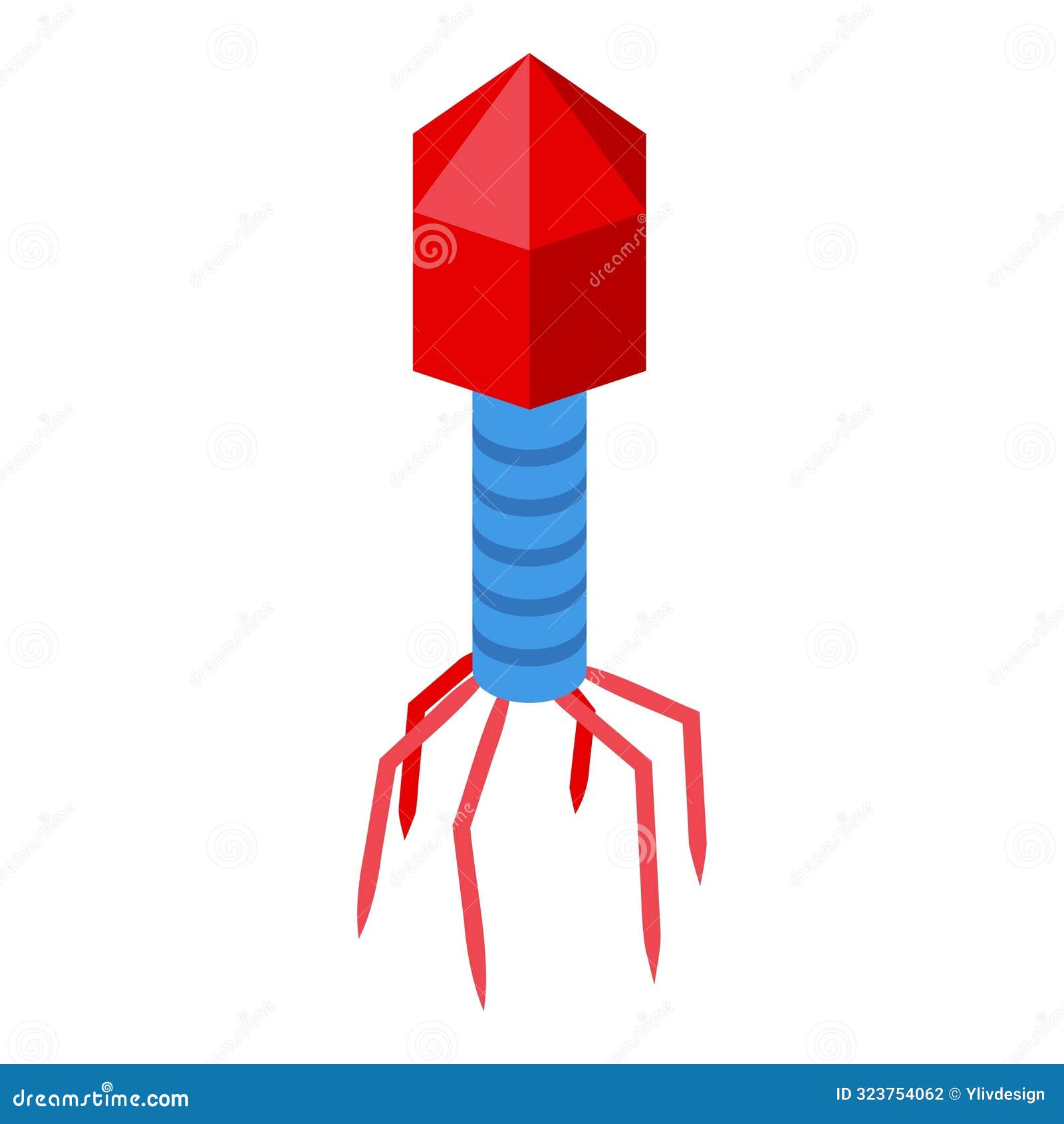 Simplified Bacteriophage Virus Model Showing Components Stock ...