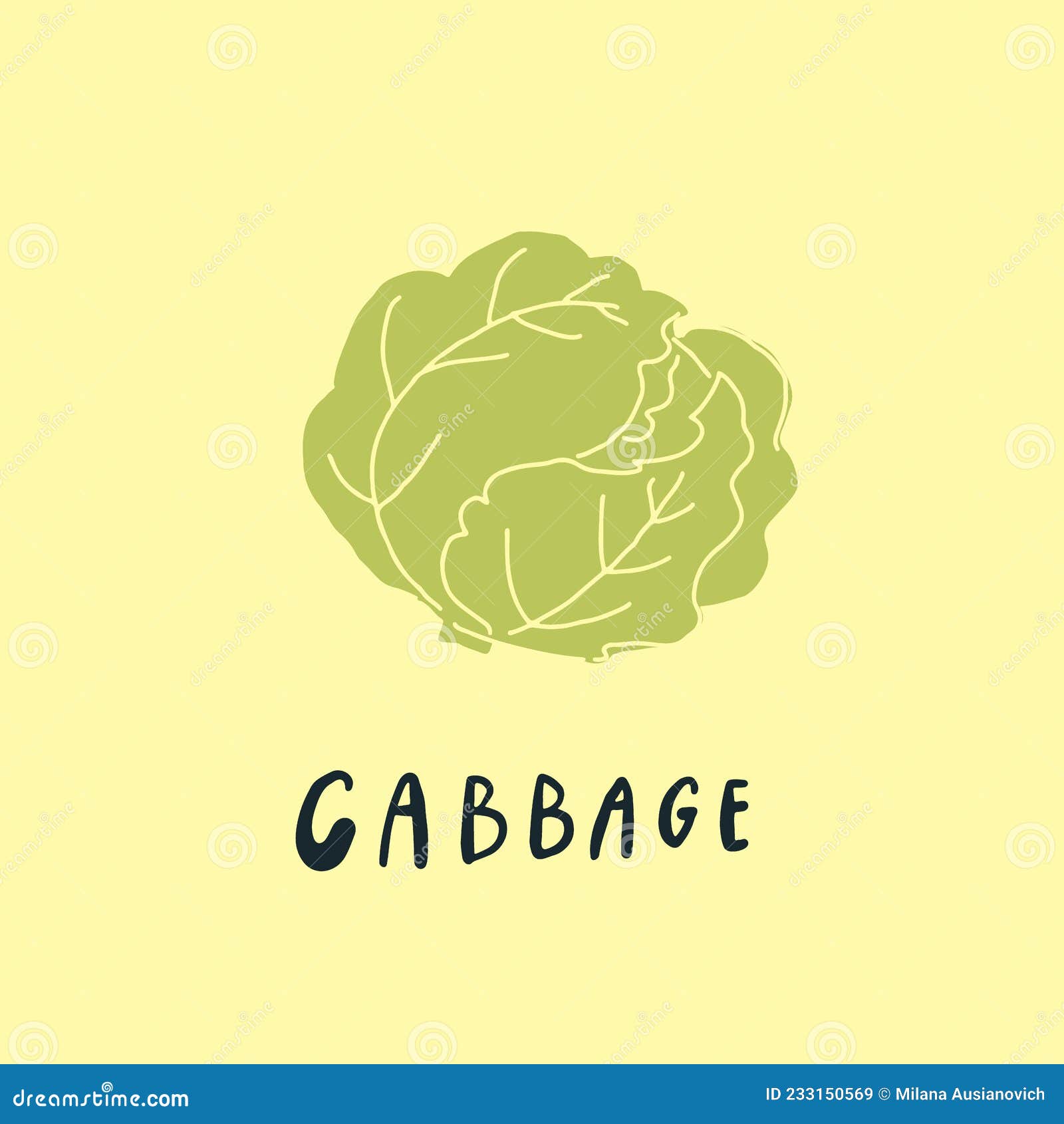 Vector Simplified Cabbage Drawing, Handwritten Word Stock Vector ...