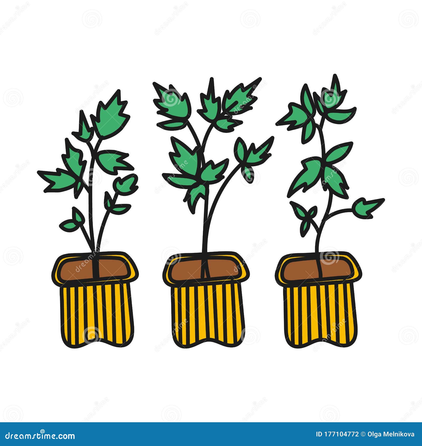 Simplified Colored Vector Illustration of a Seedlings on a White ...