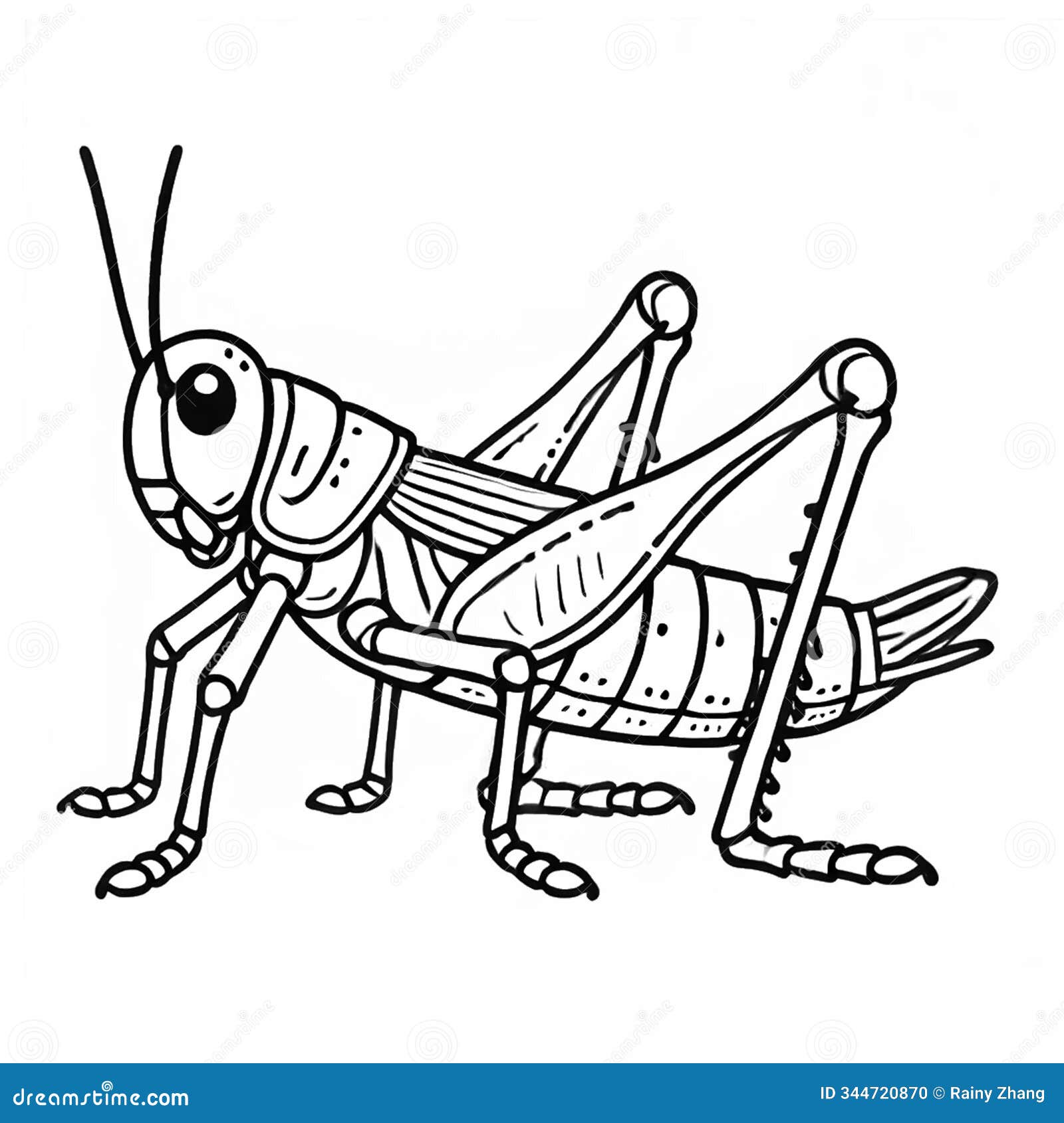 Simplified Drawing Pattern of a Locust, an Insect Stock Illustration ...
