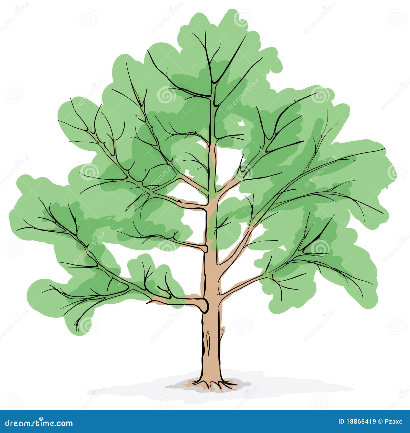 Simplified Image - Crone Of Tree Cartoon Vector | CartoonDealer.com ...