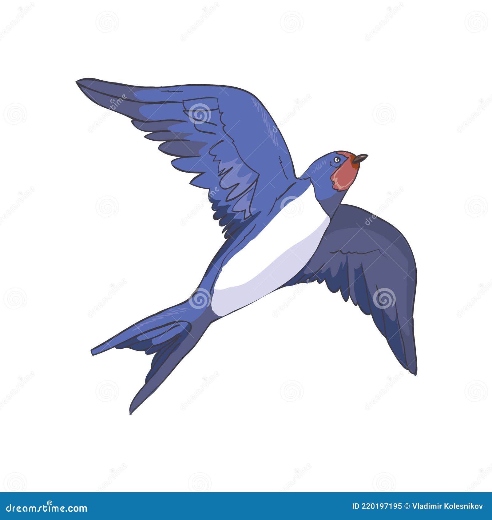 Simplified Image - Crone Of Tree Cartoon Vector | CartoonDealer.com ...