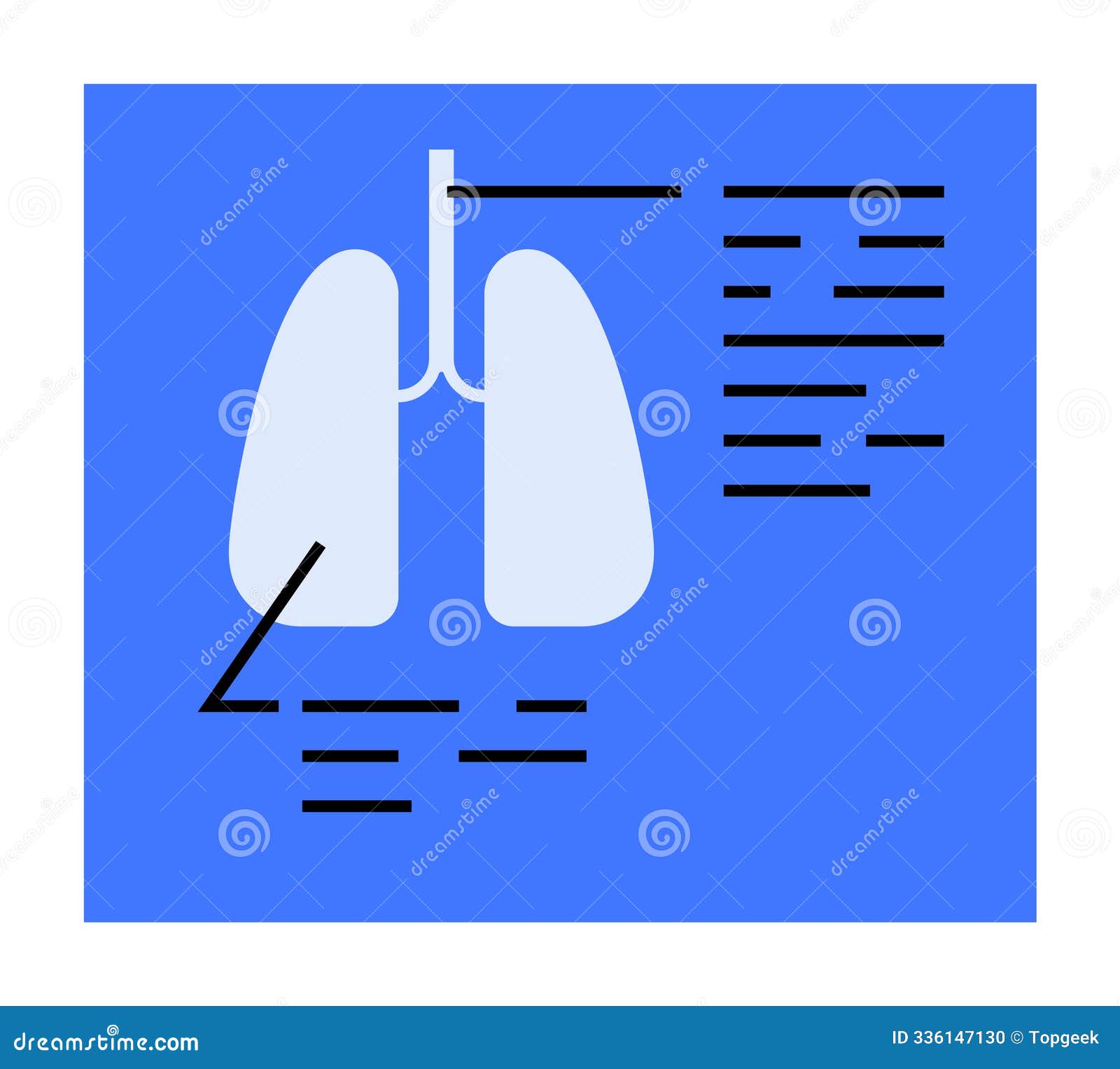Simplified Representation of Human Lungs with Annotated Texts for ...