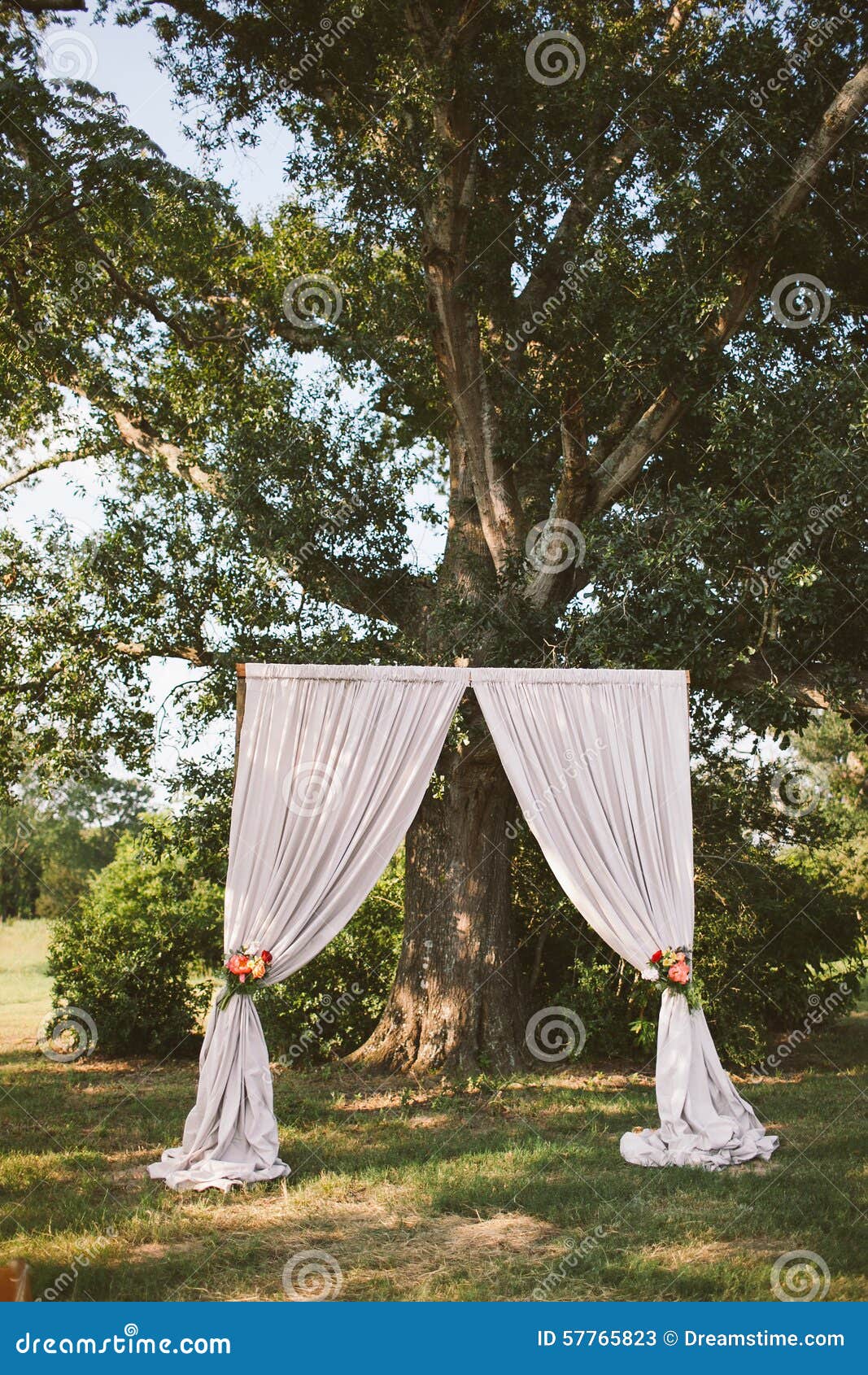 174 Simplistic Flowers Stock Photos - Free & Royalty-Free Stock Photos ...