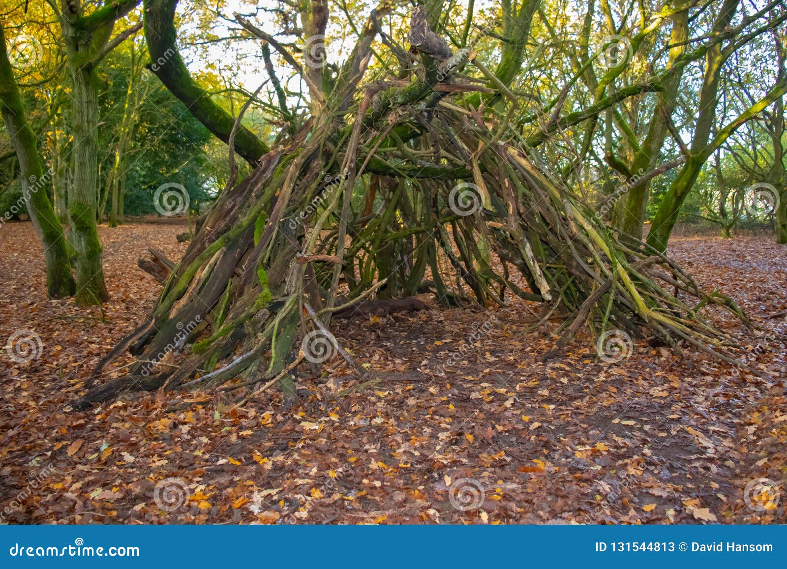 Simply Constructed Wooden Den within the Forest Stock Image - Image of ...