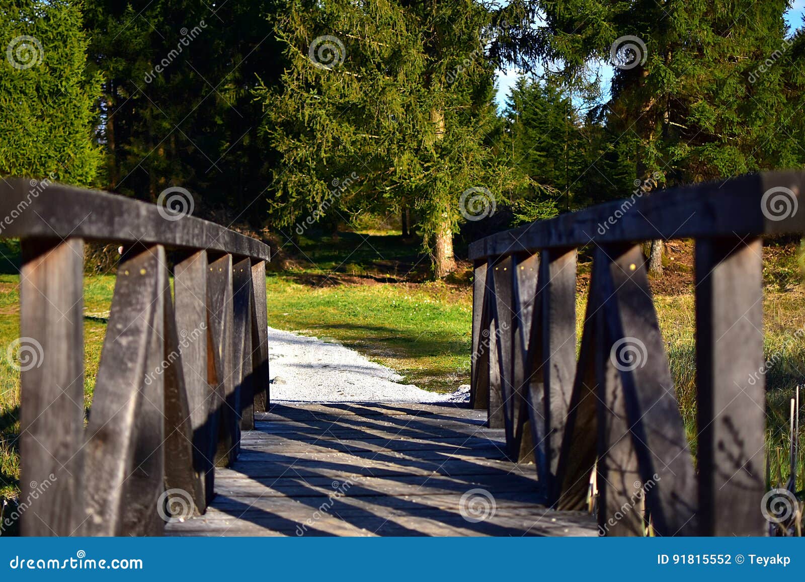 Simply Wooden bridge stock photo. Image of bridge, grass - 91815552