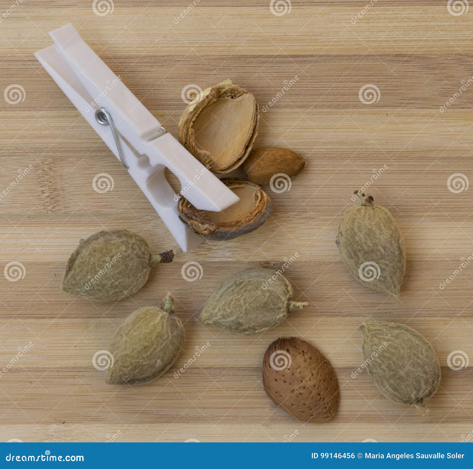 Open almonds. stock photo. Image of almonds, opening - 99146456