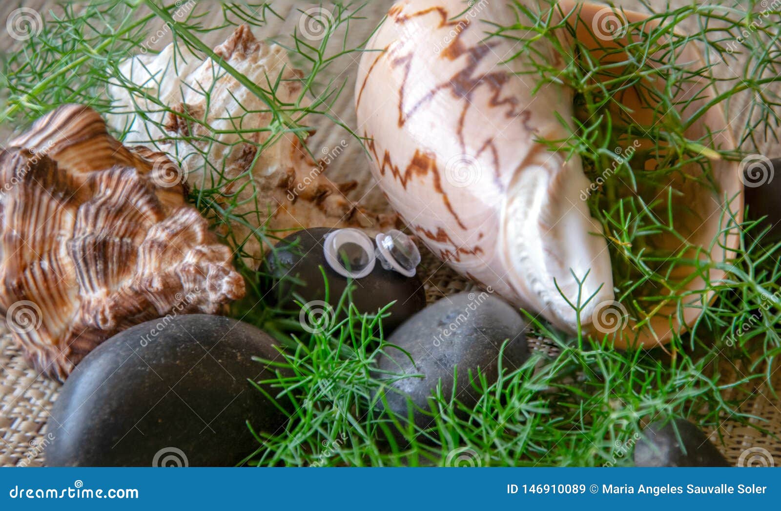 Hidden. stock image. Image of fear, hidden, unnoticed - 146910089