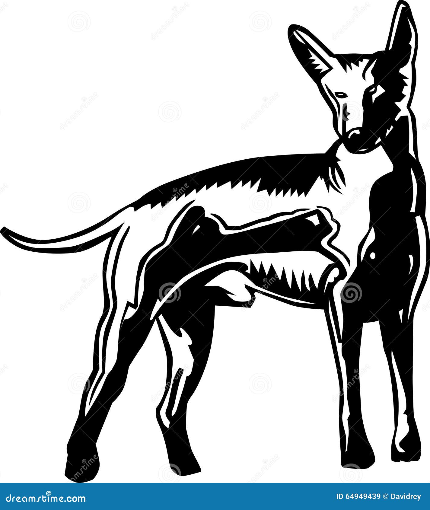 Sin Pelo Mexicano De Xoloitzcuintle Stock de ilustración - Ilustración ...