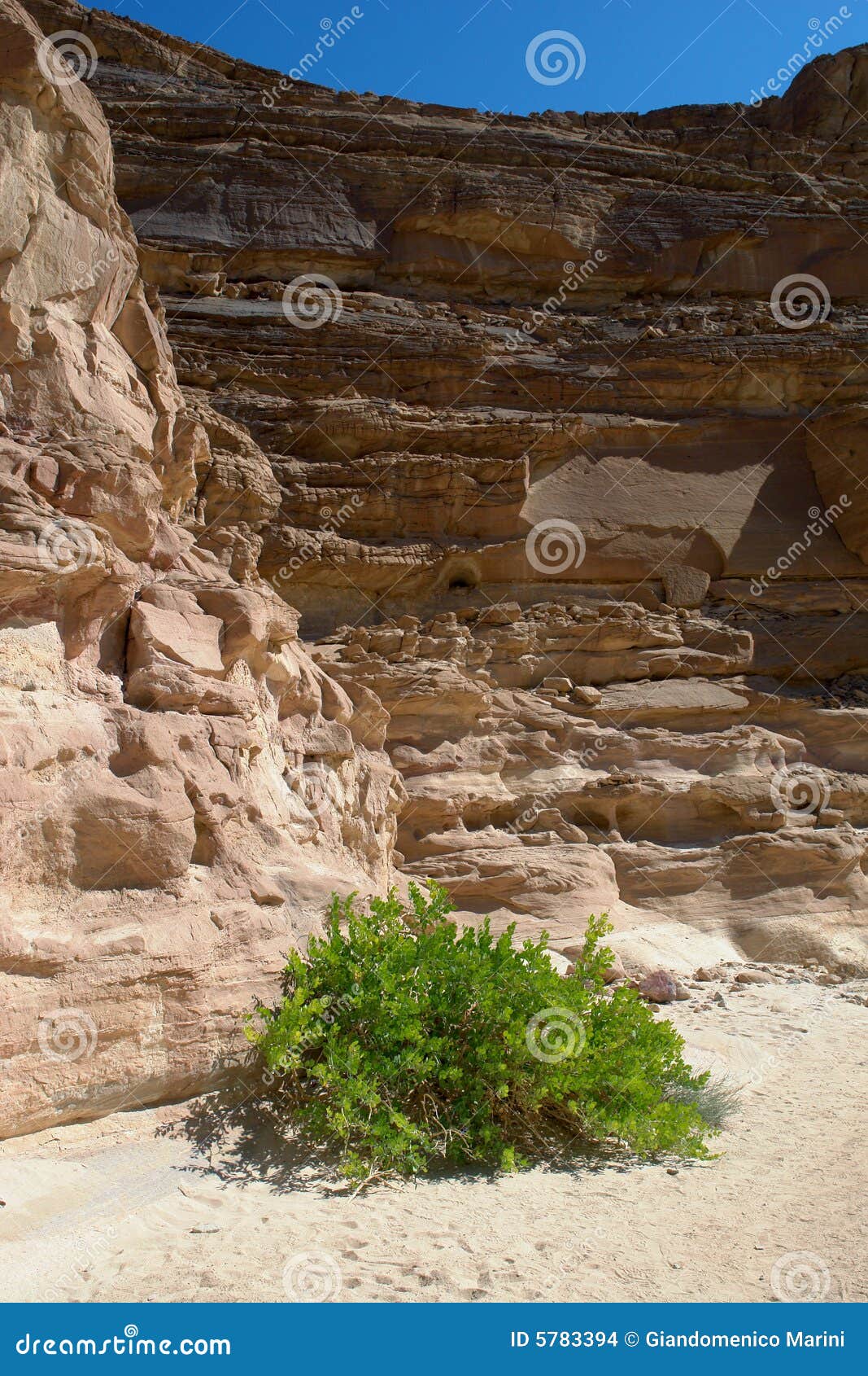 Sinai Desert, Colored Canyon Stock Photo - Image of vacation, travel ...