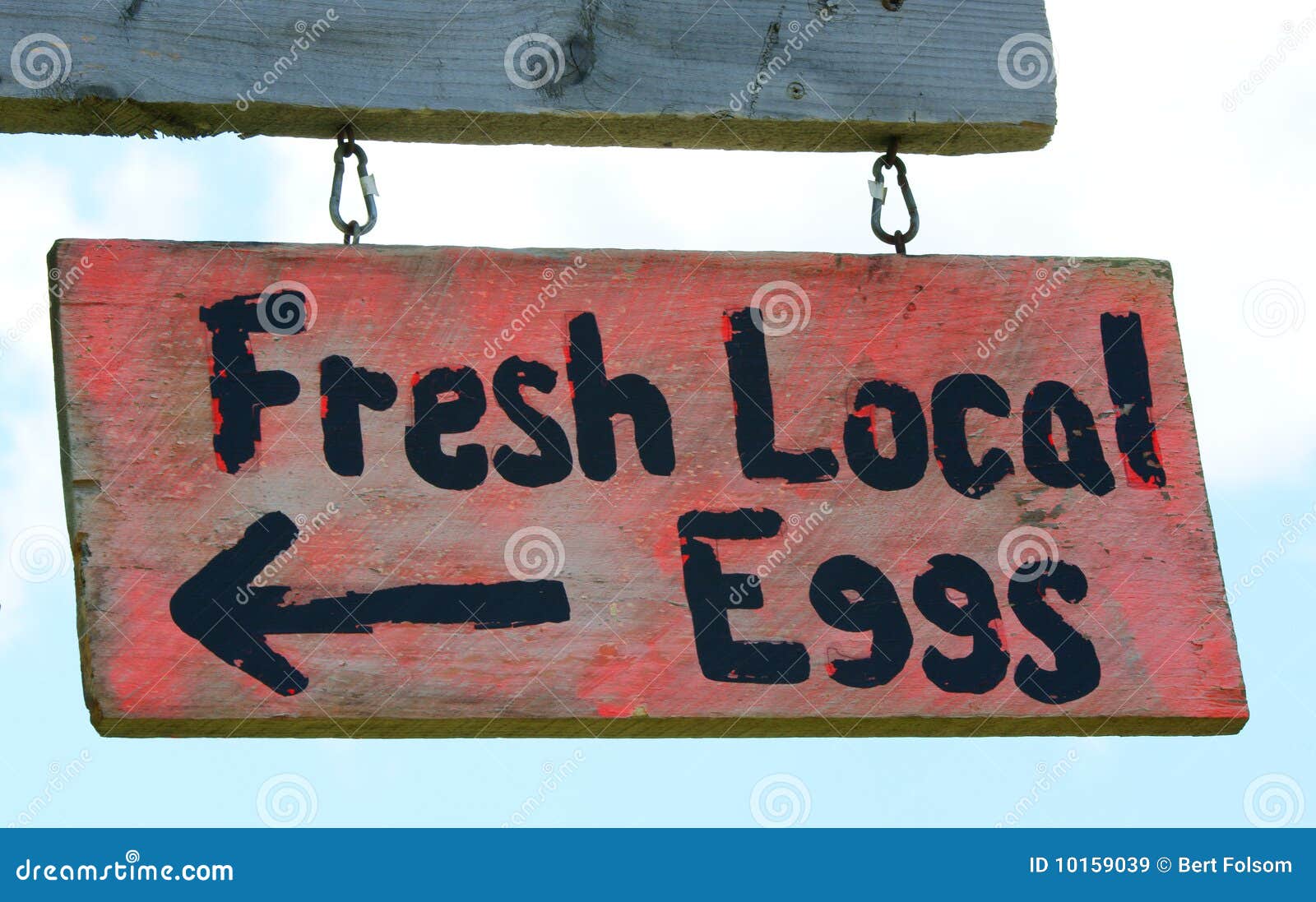 Sinal Local Fresco Dos Ovos Imagem de Stock - Imagem de fundo, borne ...