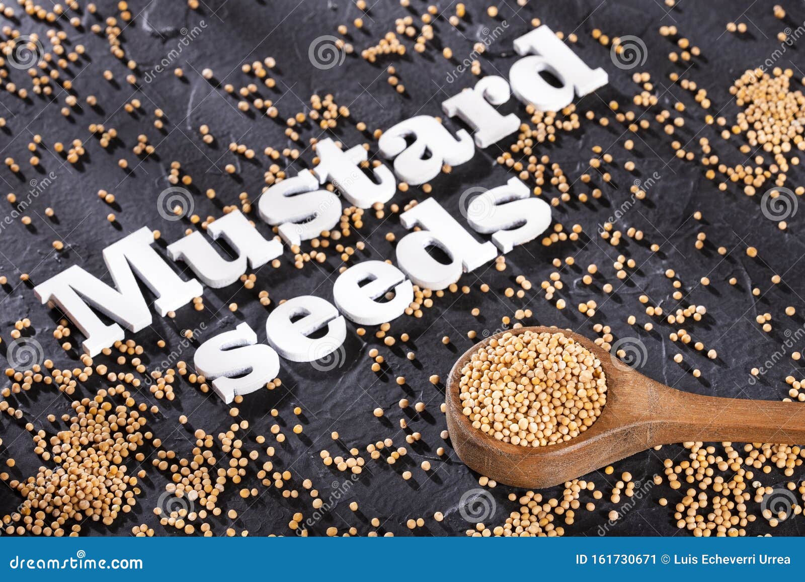 Sinapis Alba - Organic Mustard Seeds Stock Image - Image of mustard ...