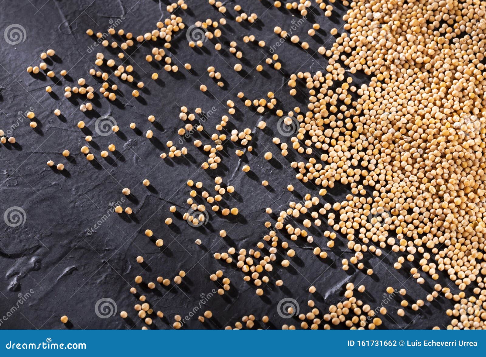 Sinapis Alba - Organic Mustard Seeds Stock Photo - Image of bowl, white ...