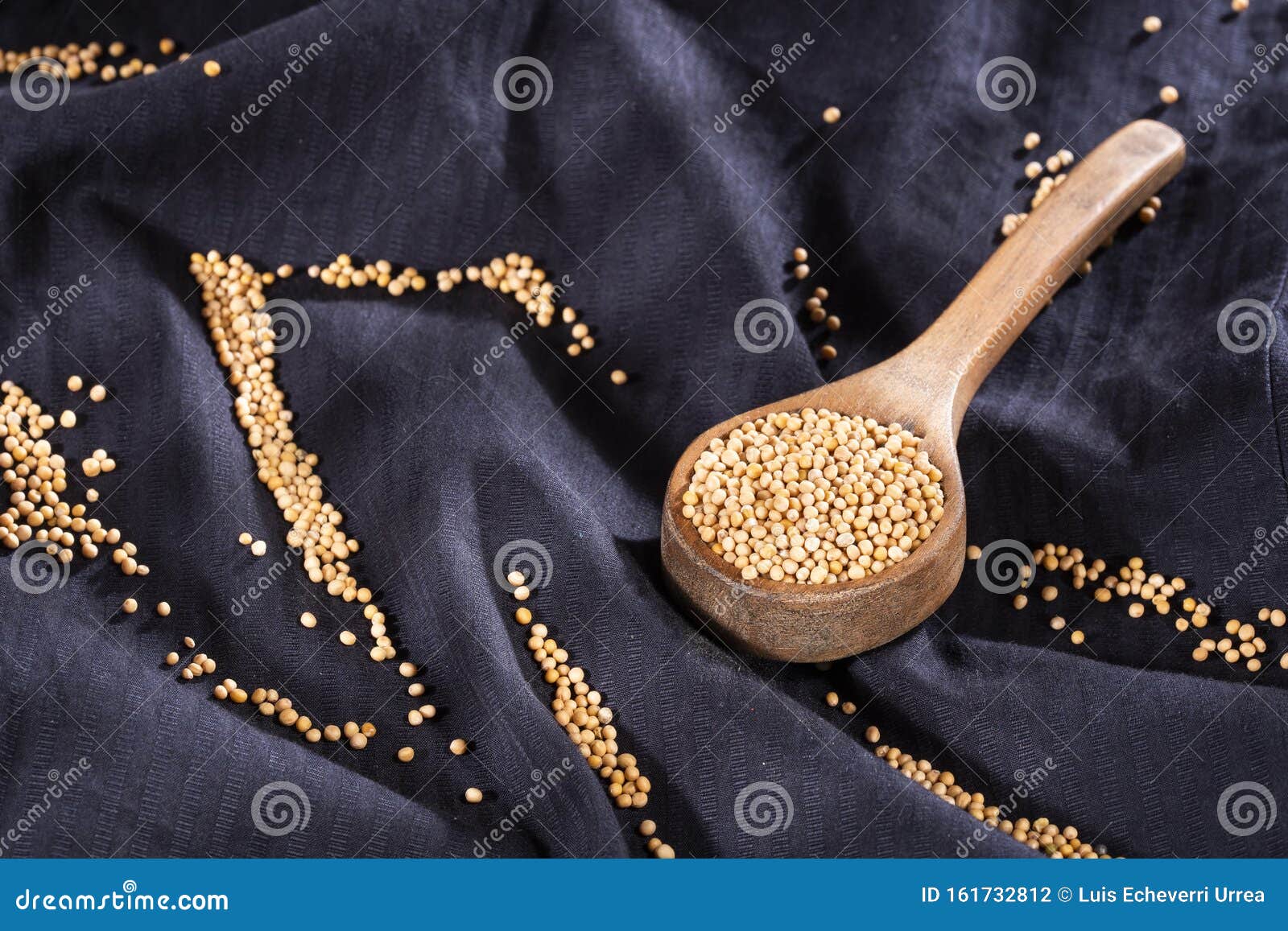 Sinapis Alba - Organic Mustard Seeds Stock Photo - Image of mustard ...