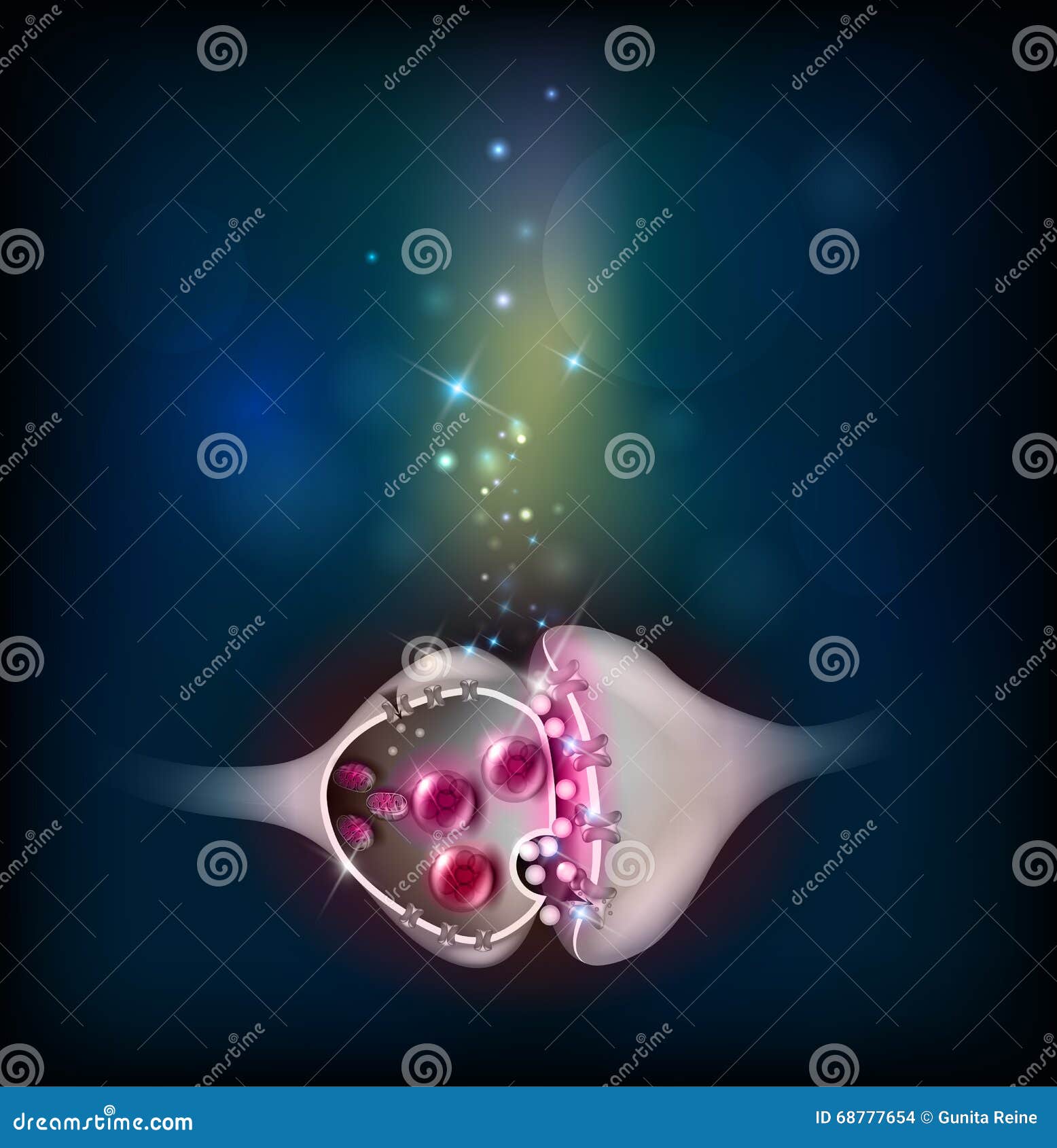 Sinapse ilustração do vetor. Ilustração de neurônios - 68777654