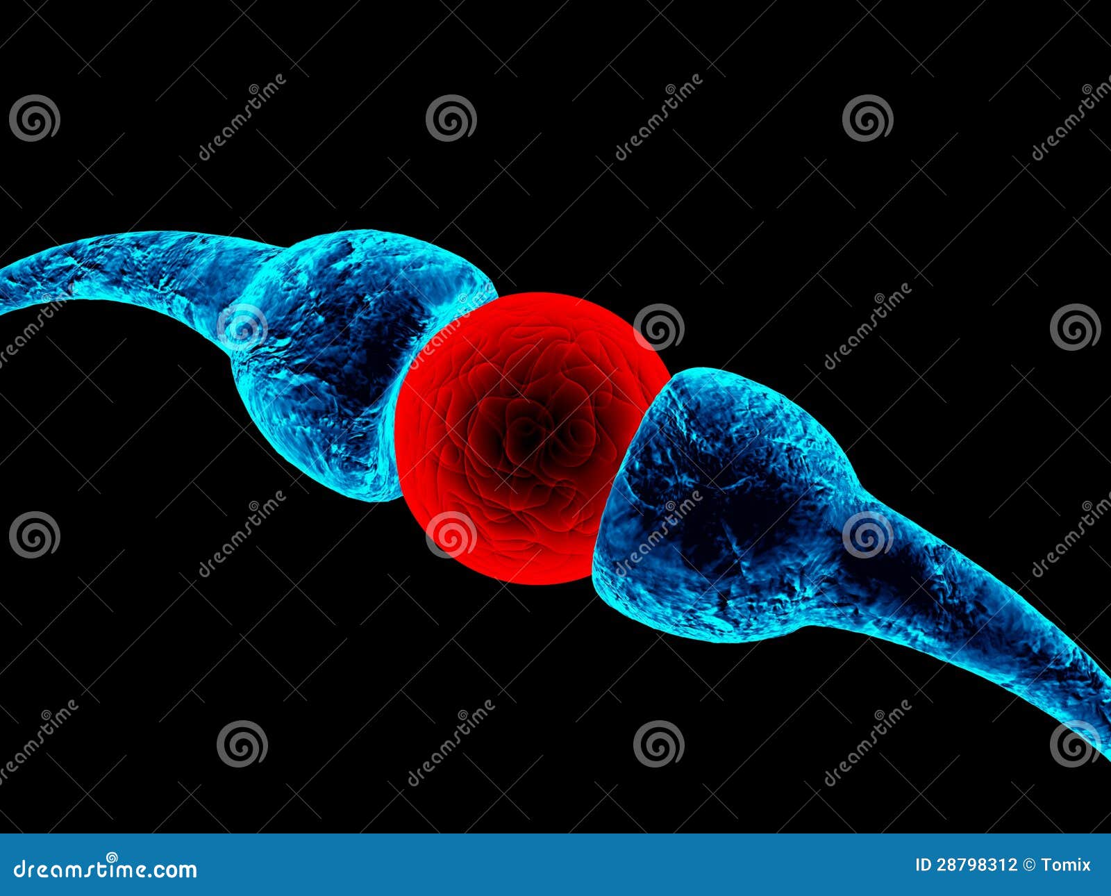 Sinapsi 3d illustrazione di stock. Illustrazione di cellule - 28798312