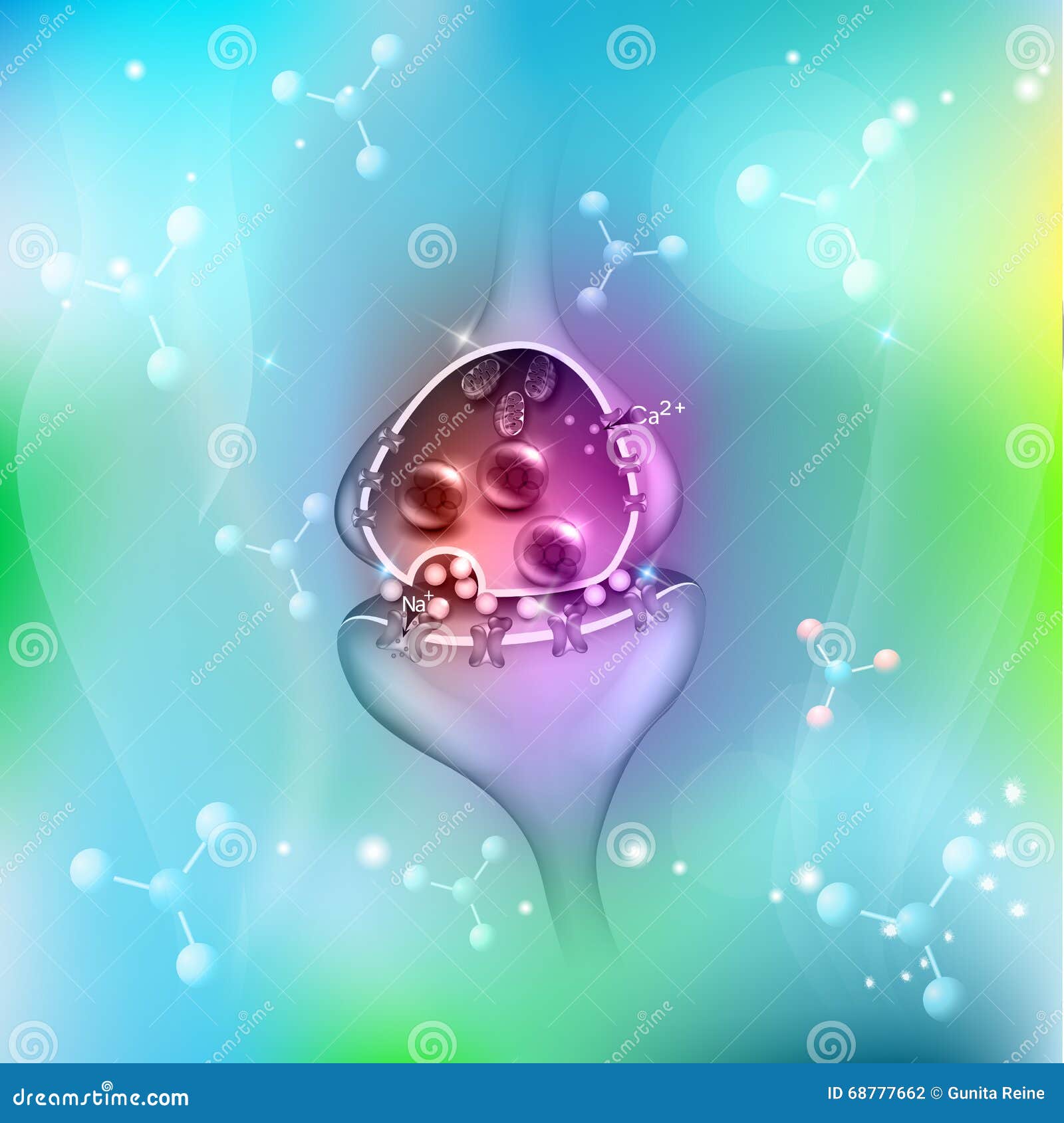 Sinapsis ilustración del vector. Ilustración de nervioso - 68777662