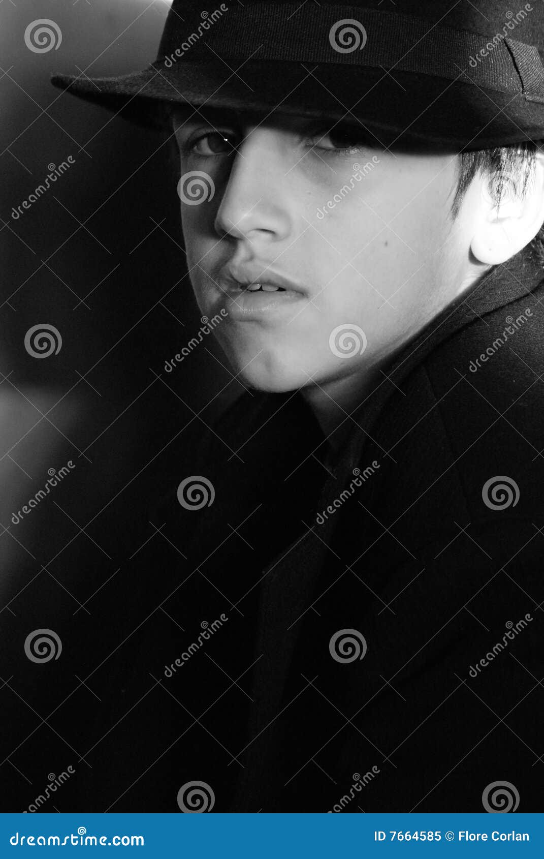 Frank Sinatra Fan Stock Photos - Free & Royalty-Free Stock Photos from ...