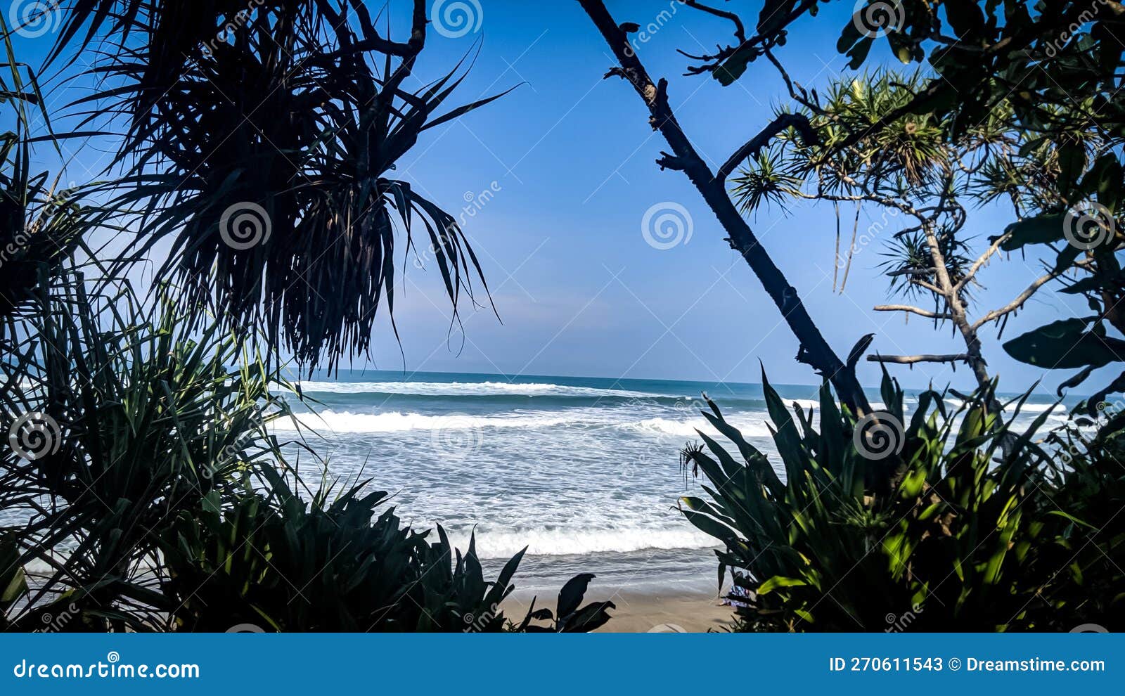 Sindangkerta Beach Behind the Lush Trees Stock Image - Image of tropics ...