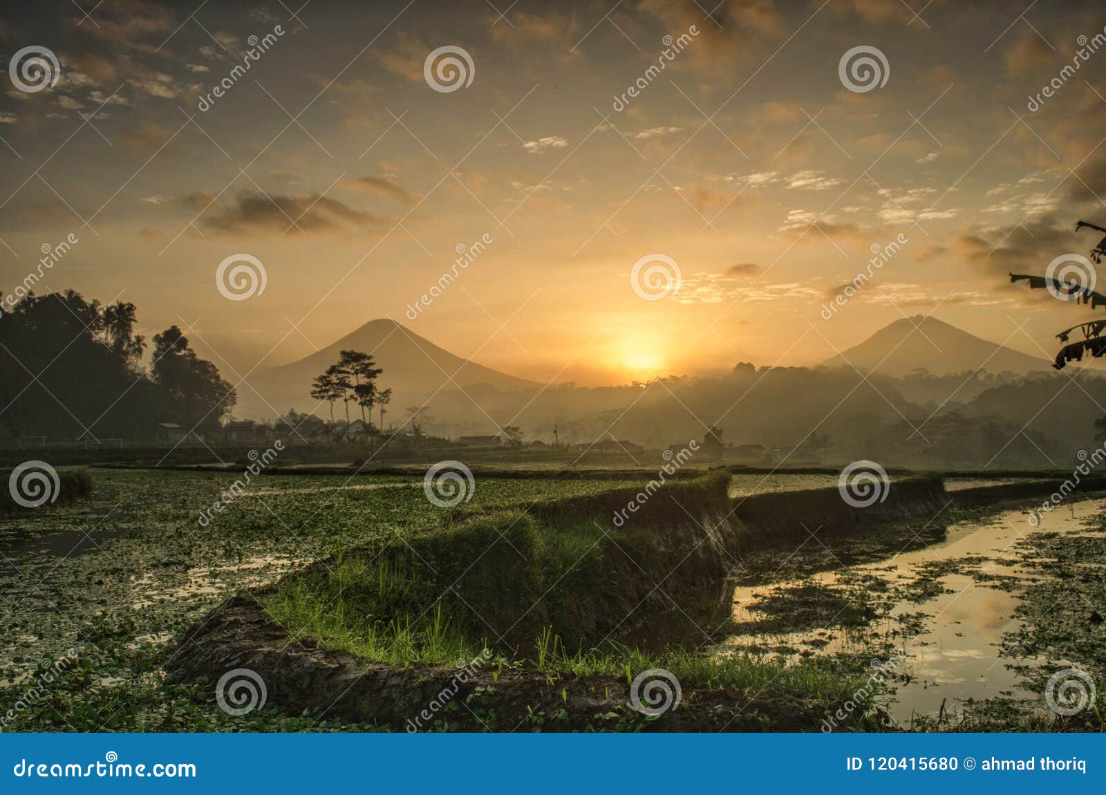 A Beautiful Sunrise in the Rice-field, with Views of the Volcano Mount ...