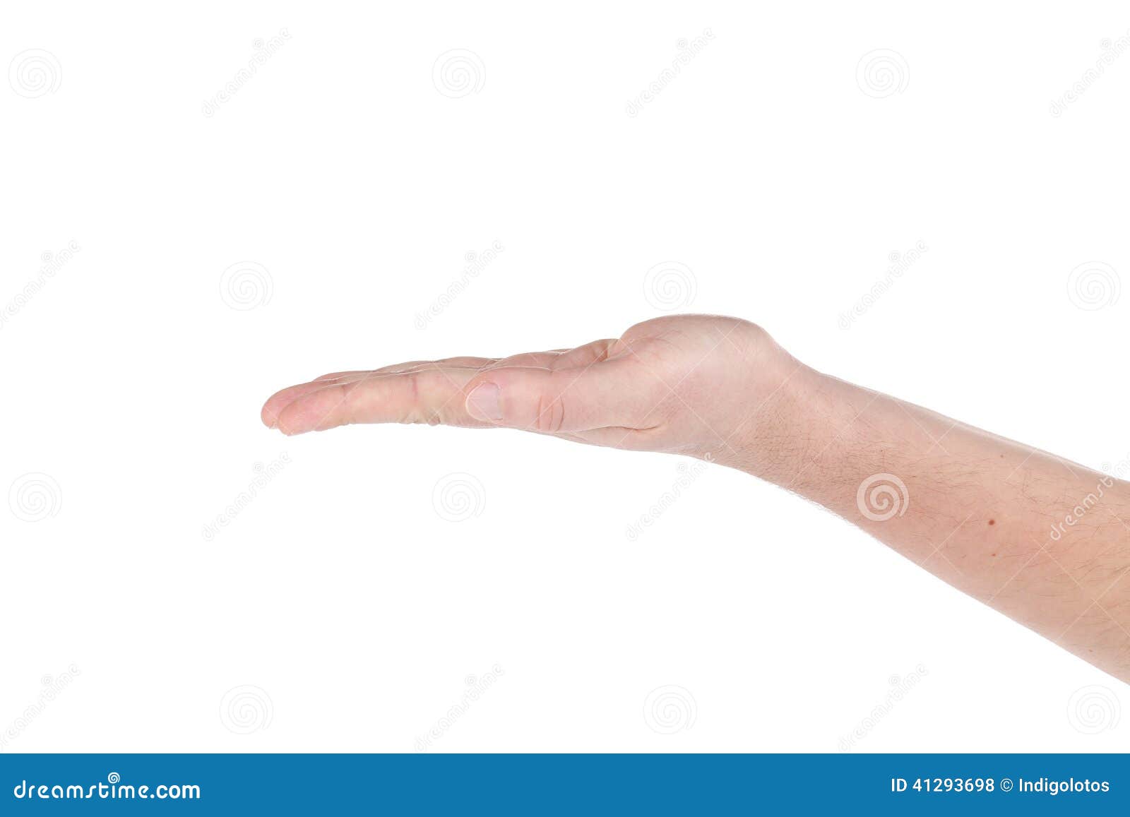 Sing Language. Outstretched Hand Palm Up Stock Photo - Image of raise ...